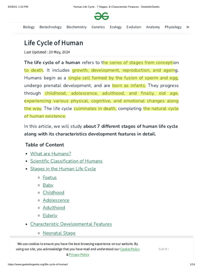 Human Life Cycle - 7 Stages, & Characteristic Features - GeeksforGeeks | PDF | Adolescence | Human