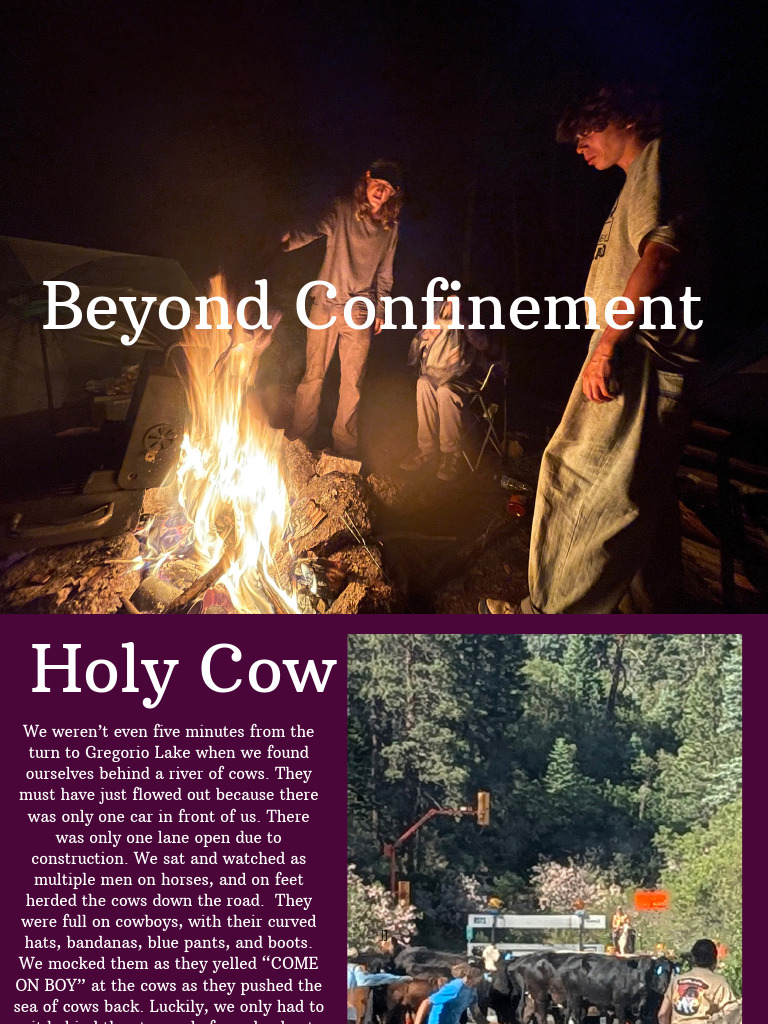 SWA #2: Beyond Confinement | PDF