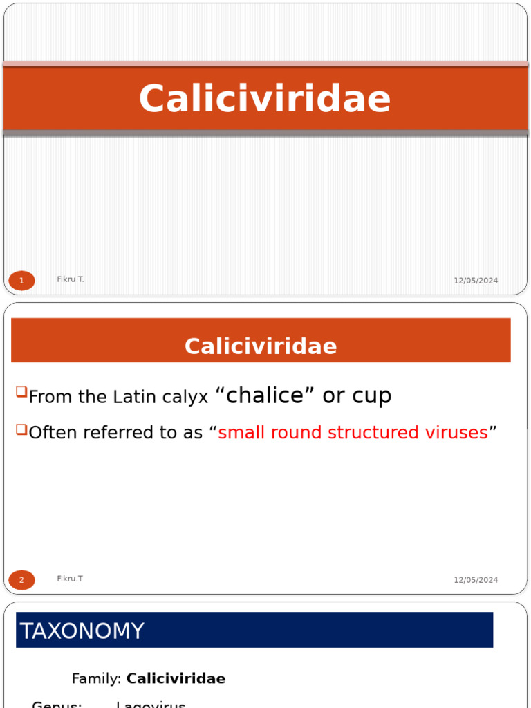 Calciviridae, Astero Viridae & Reo Viridea | PDF | Virus | Diarrhea