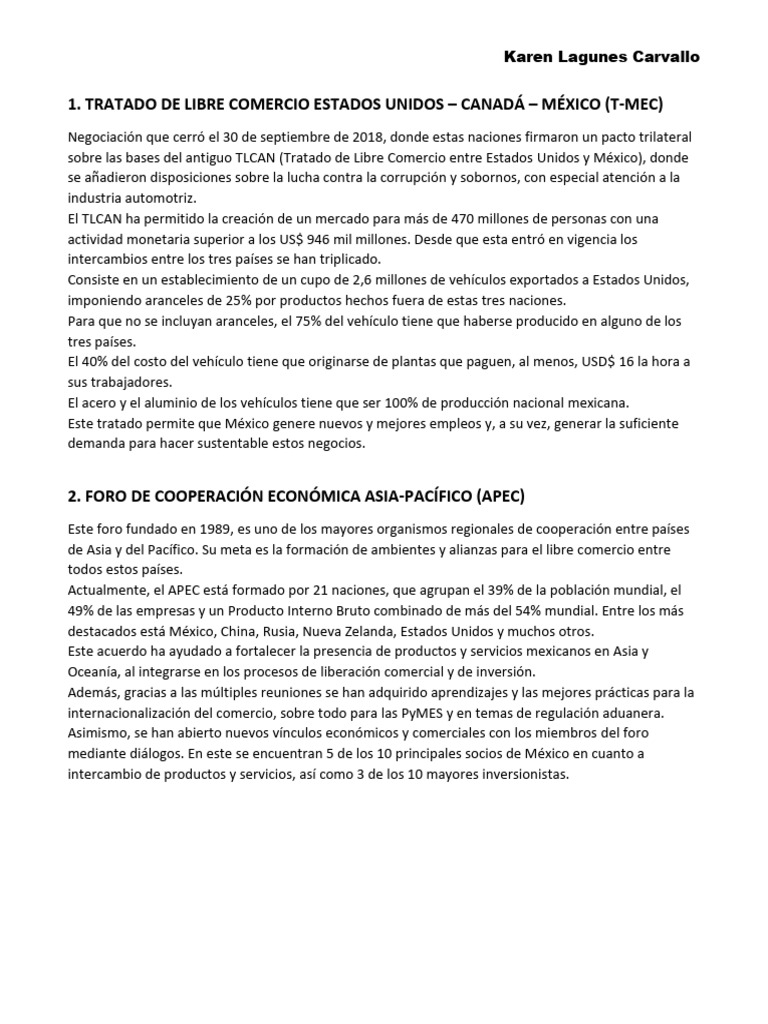TAREA LEGISLACION LABORAL_KAREN LAGUNES CARVALLO | PDF | Tratado de ...