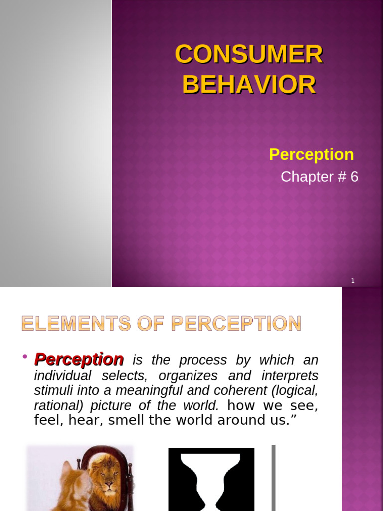 Chapter 6 - Perception | PDF | Senses | Perception