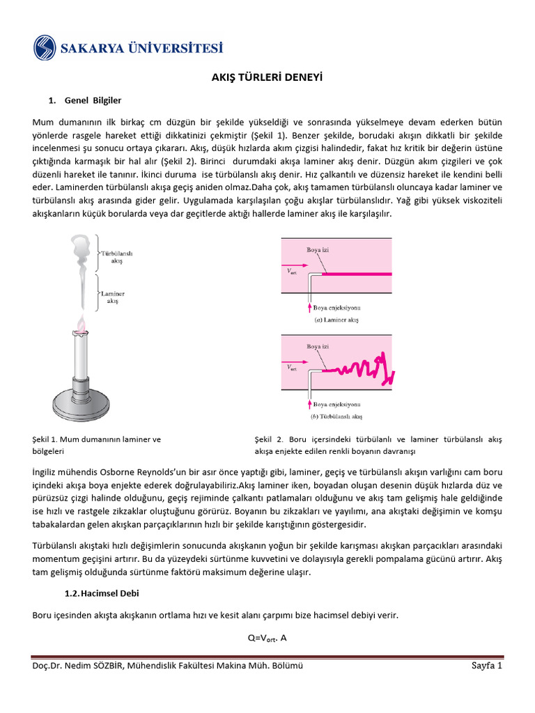 Akis Turleri Deneyi | PDF