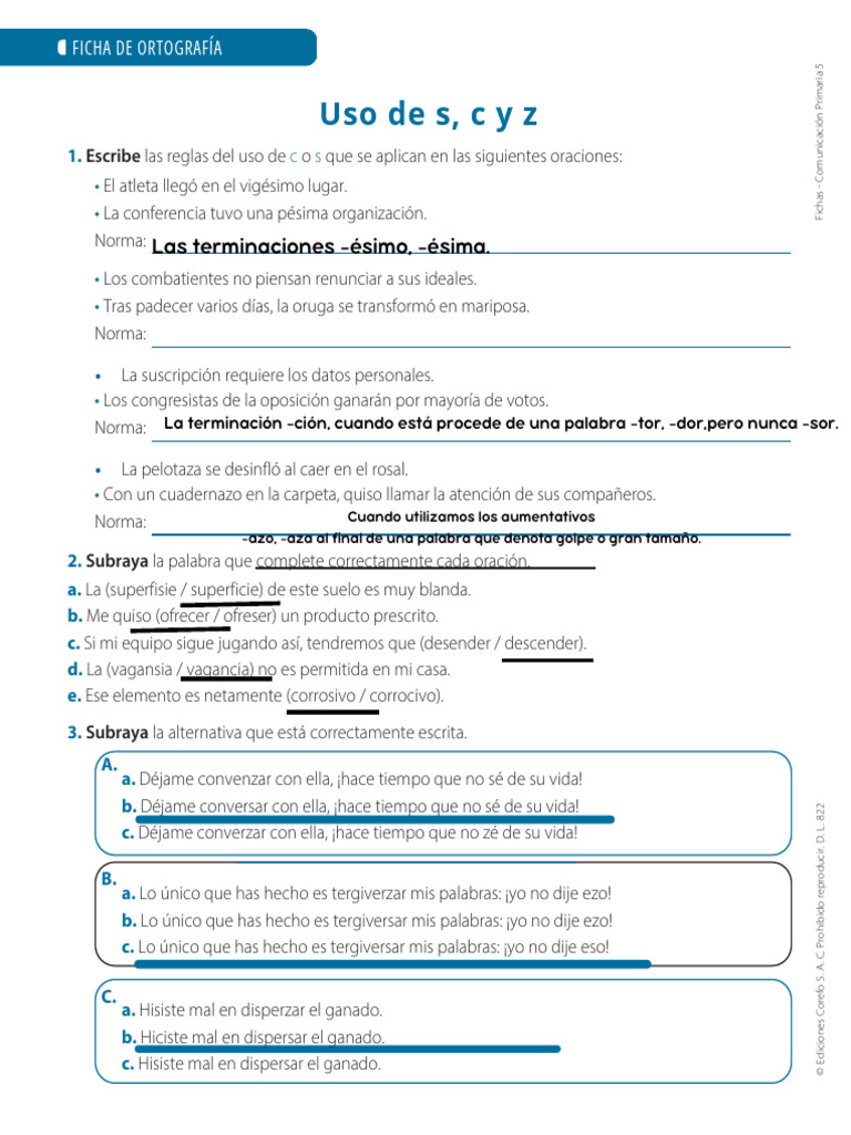 FA - Uso de S - C y Z.PDF - 20241113 - 141544 - 0000 | PDF