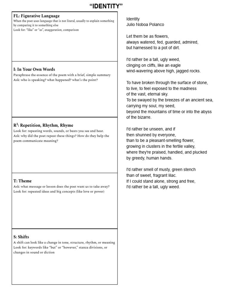 Identity One-Pager | PDF | Poetry