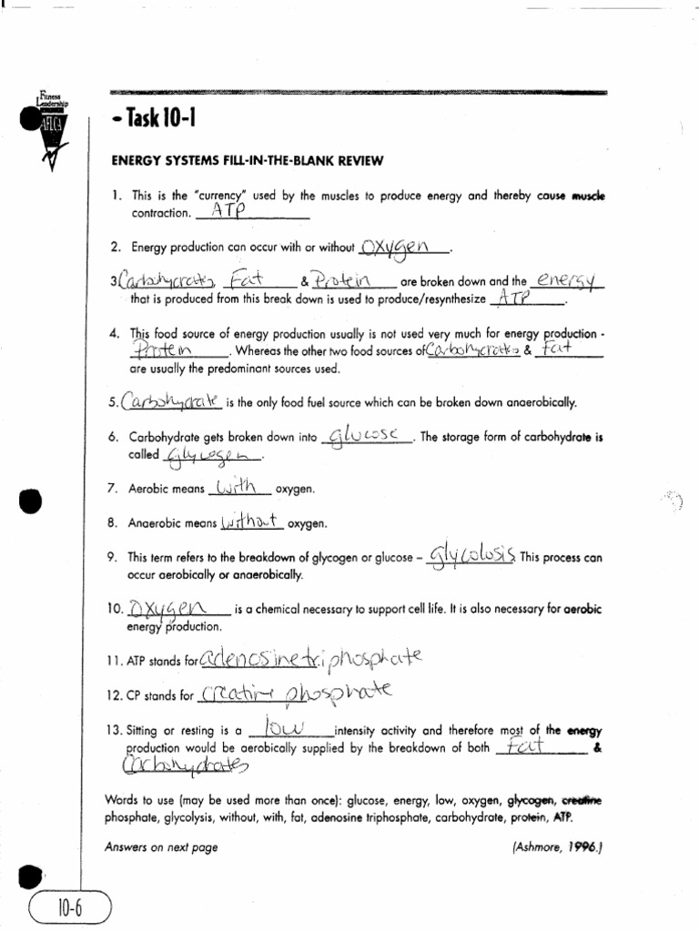 Energy System Fill in The Blank Answer Sheet | PDF