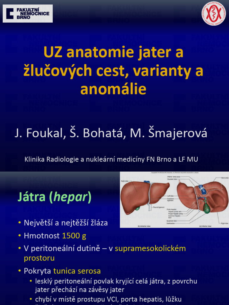 Ultrasonografie Jater-Anatomie, Variace | PDF