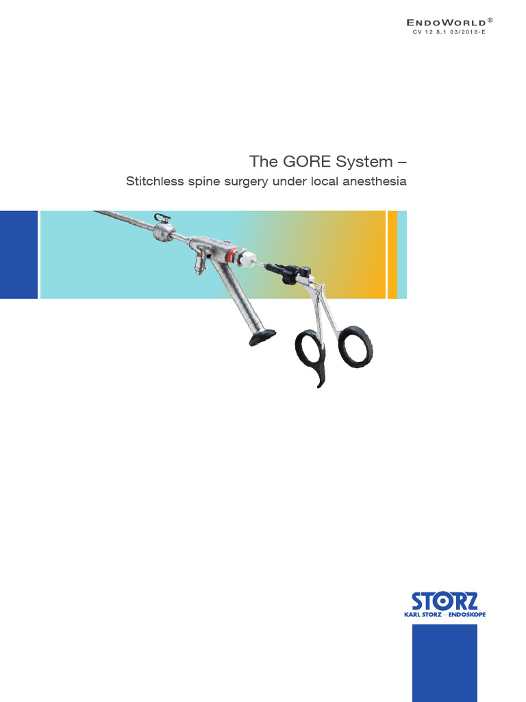 Endoworld Gore System For Percutaneous Spinal Lumbar Endos | PDF ...