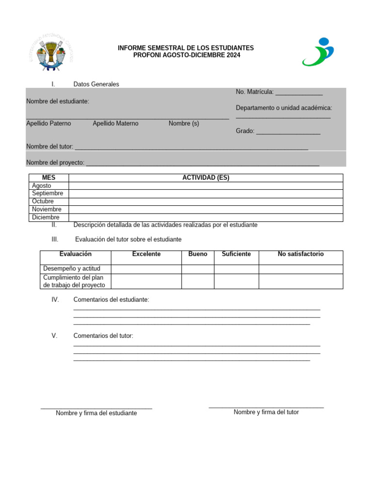 Formato de Informe | PDF