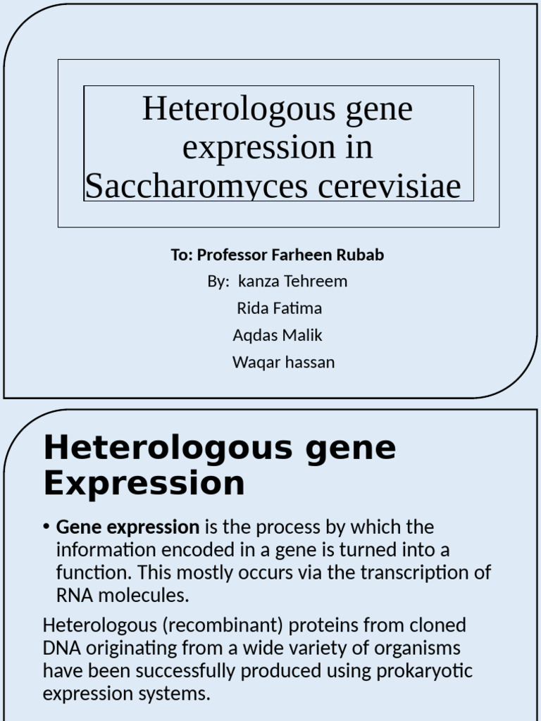 Heterologous gene expression | PDF | Vector (Molecular Biology ...