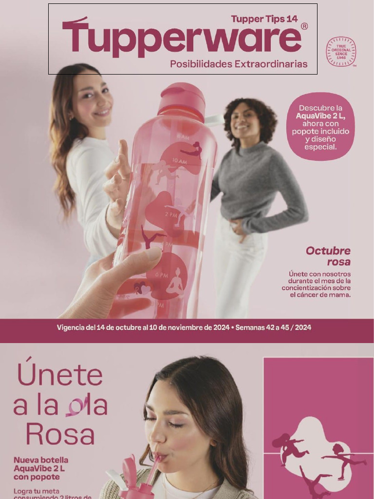 Tupperware C14 2024-1 | PDF