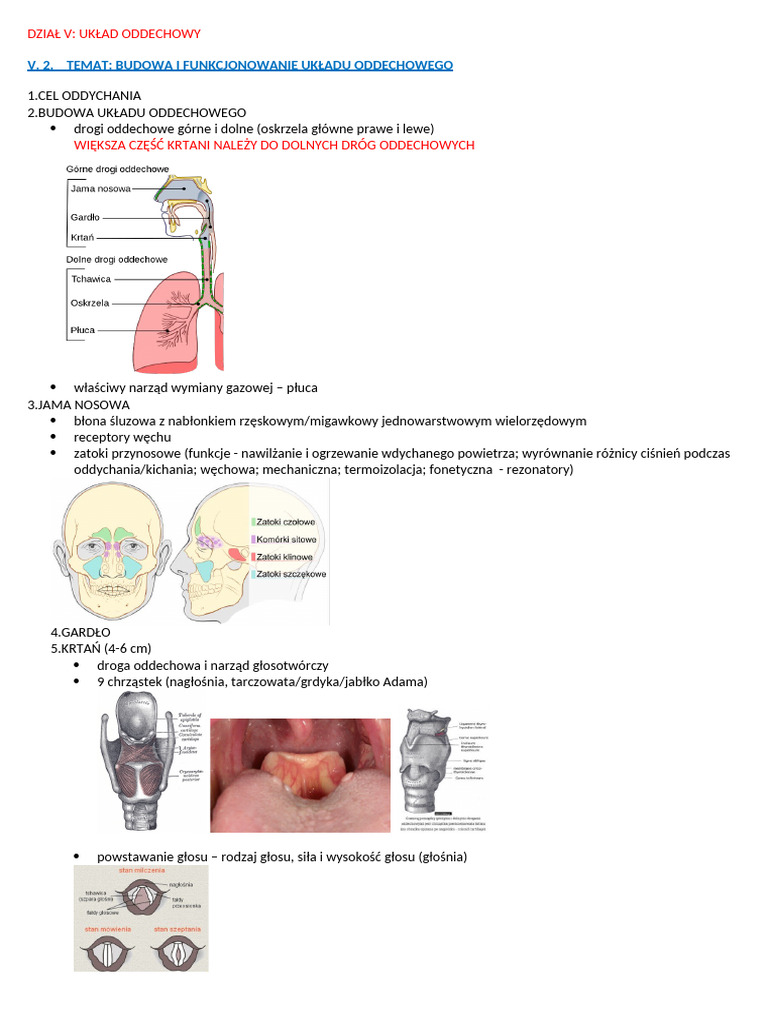 13.3r.układ Oddechowy. Wentylacja | PDF