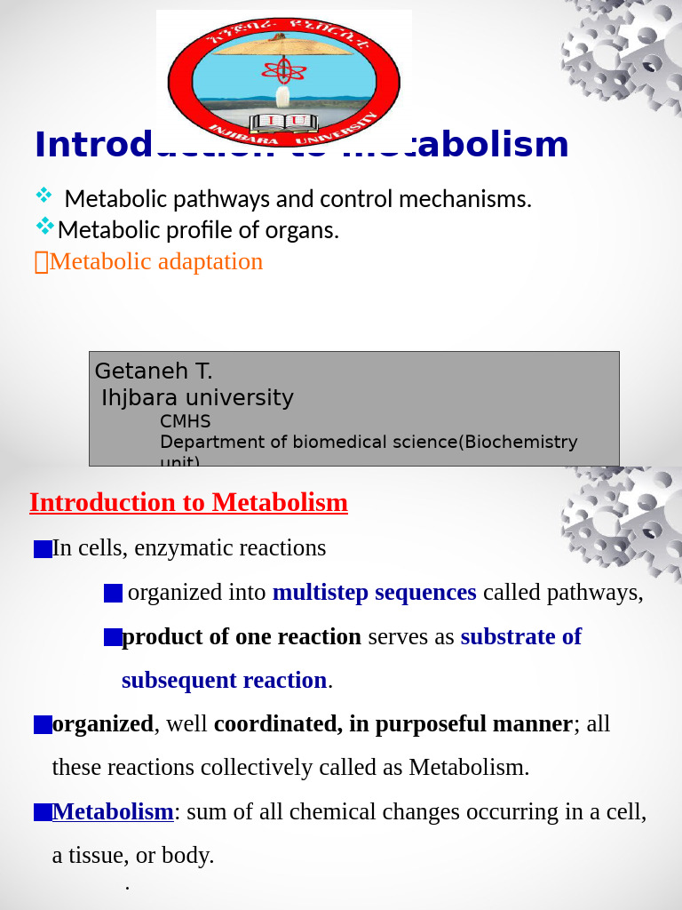 Leacture CHO Metabolism Part 1 | PDF | Glycolysis | Cellular Respiration
