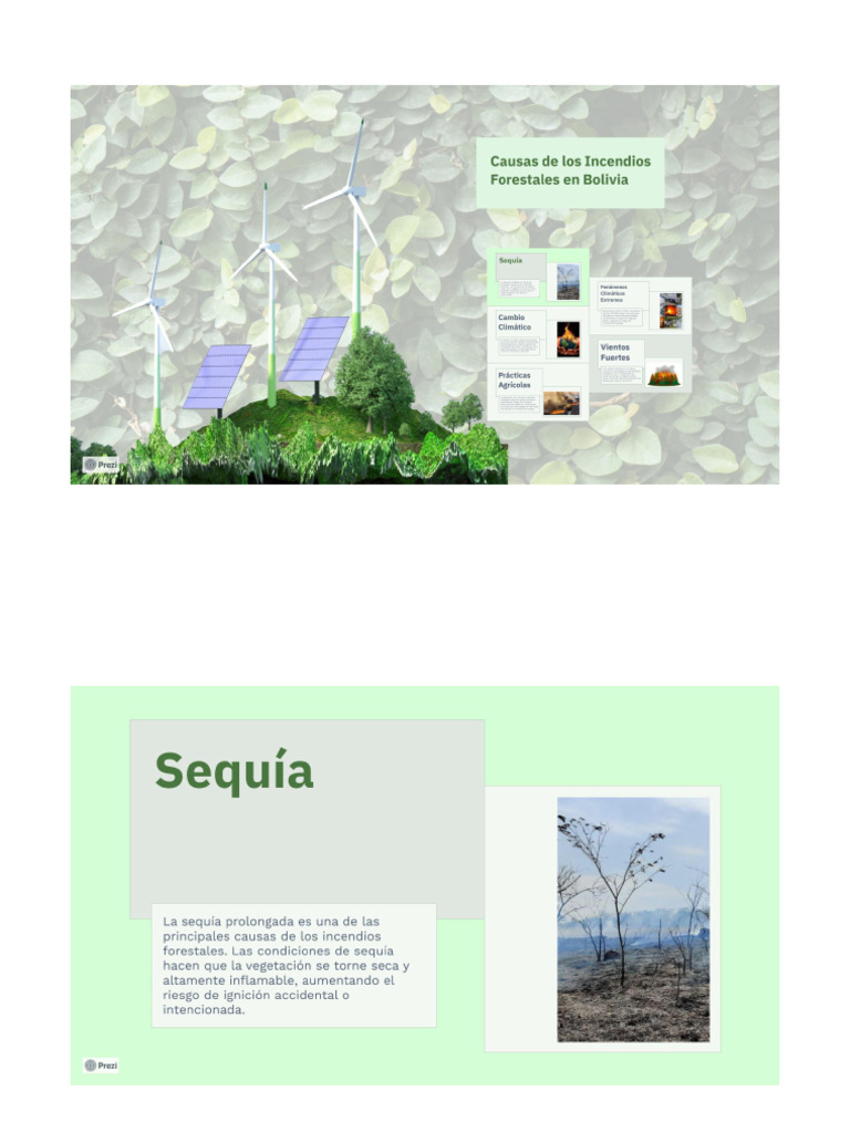 Analisis Del Decreto Supremo 3973 | PDF