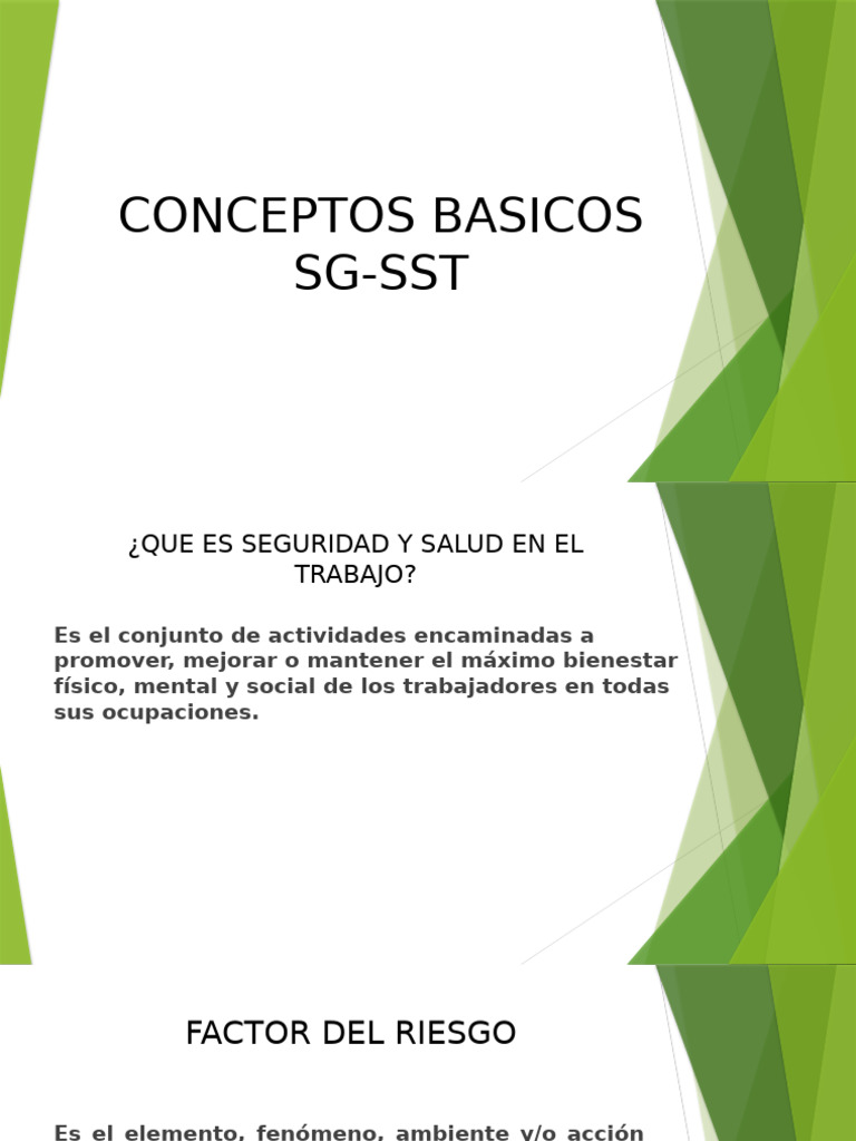 Conceptos Basicos SST 1 | PDF