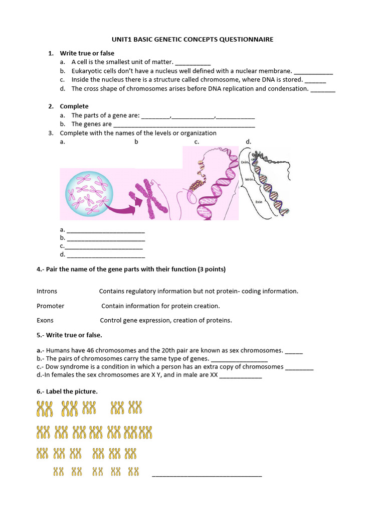 Basic Genetic Concepts Questionnaire | PDF