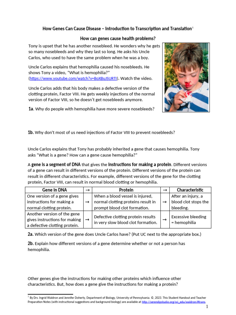 Transcription Translation Protocol | PDF | Translation (Biology) | Dna