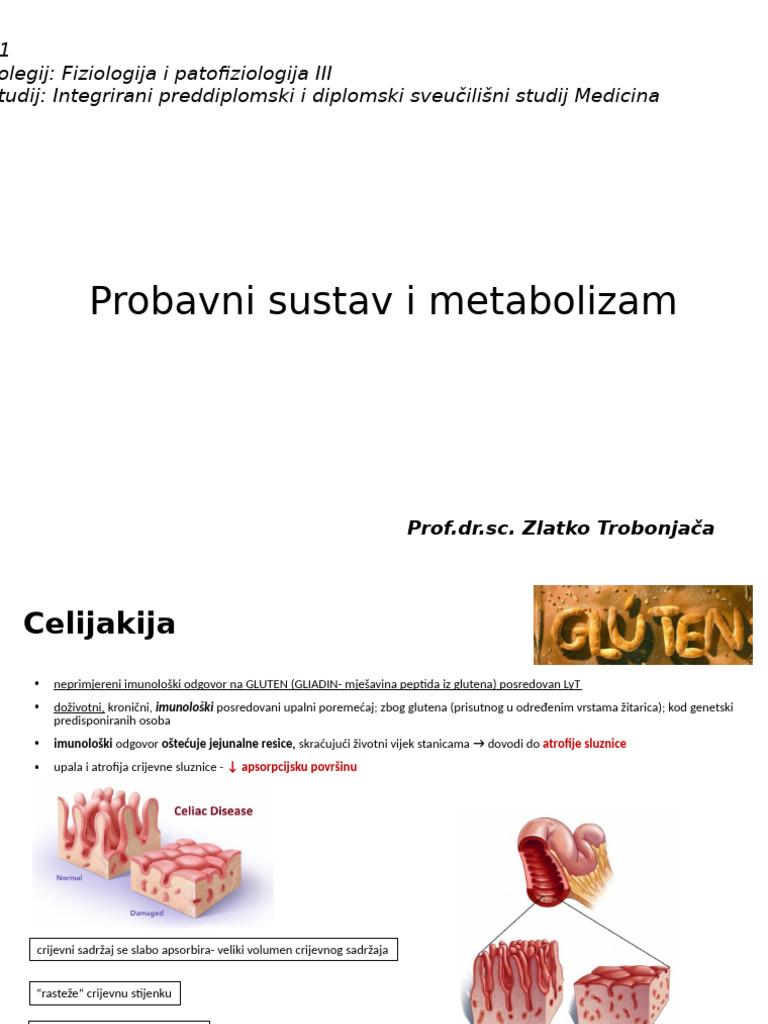 V1 - Probava | PDF