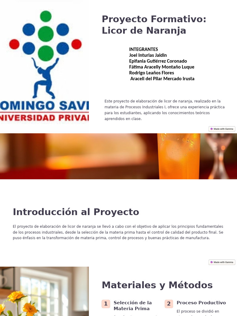 Diapositiva Proyecto | PDF | Naranja)