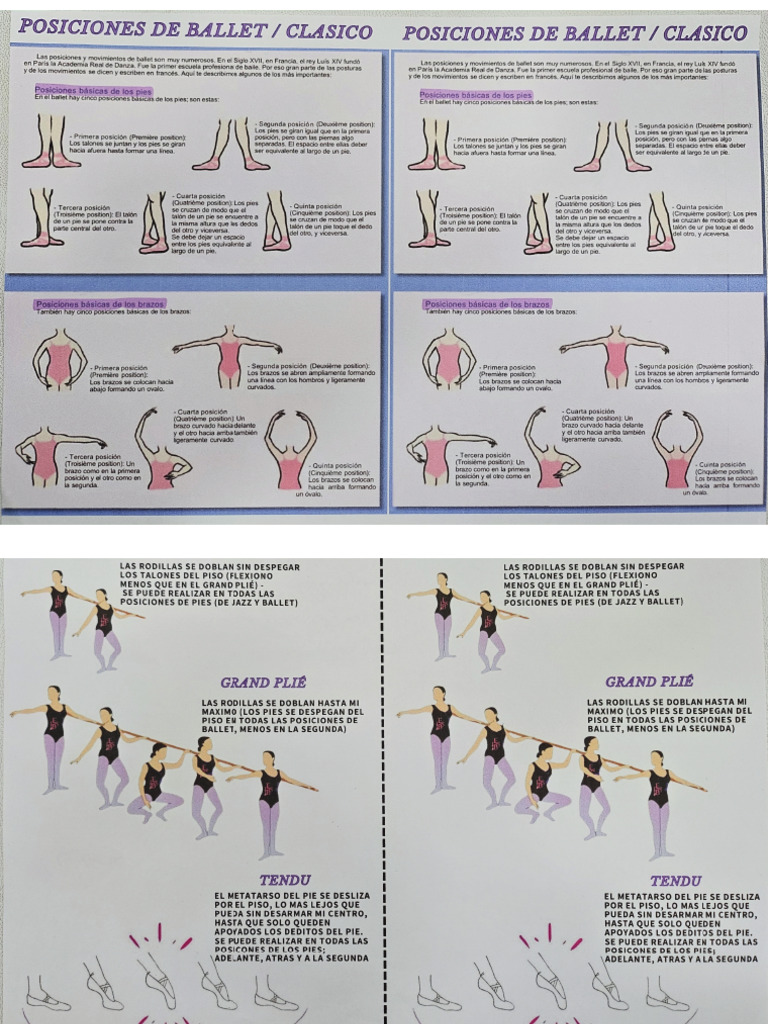 Pasos y Posiciones Basicas de La Danza Clásica | PDF