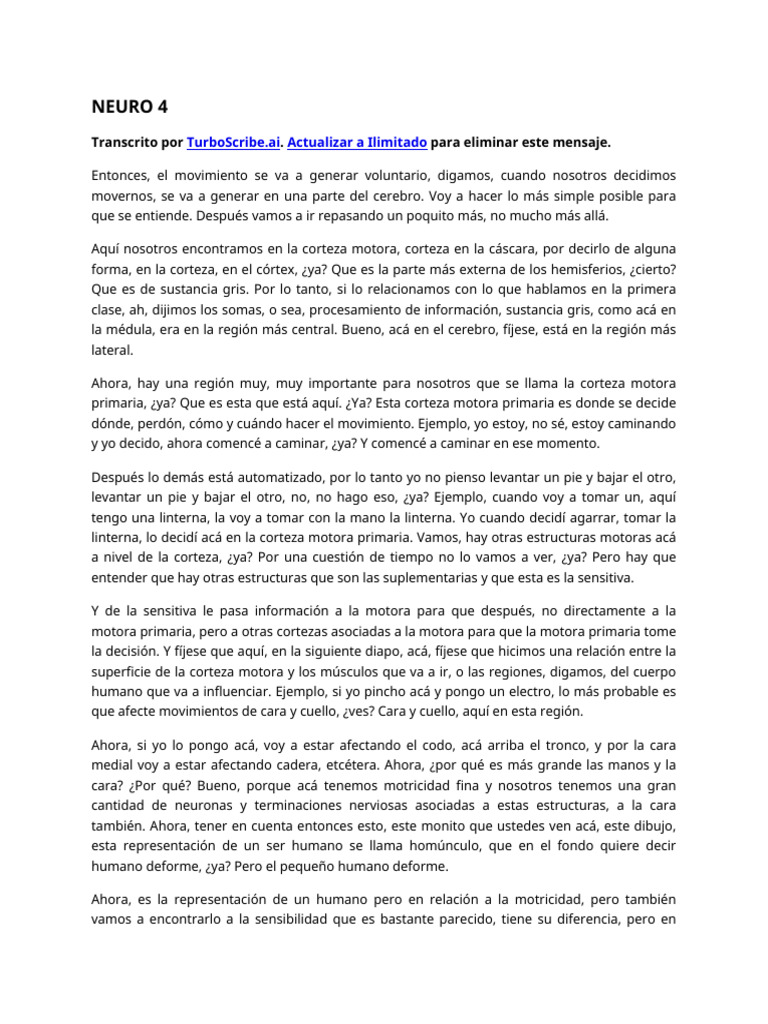 Neuro 4 | PDF | Codo | Médula espinal