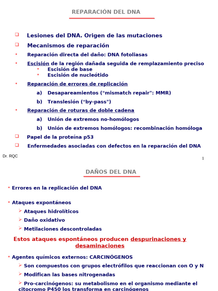 Reparacion Del DNA | PDF | Adn | Reparación de adn