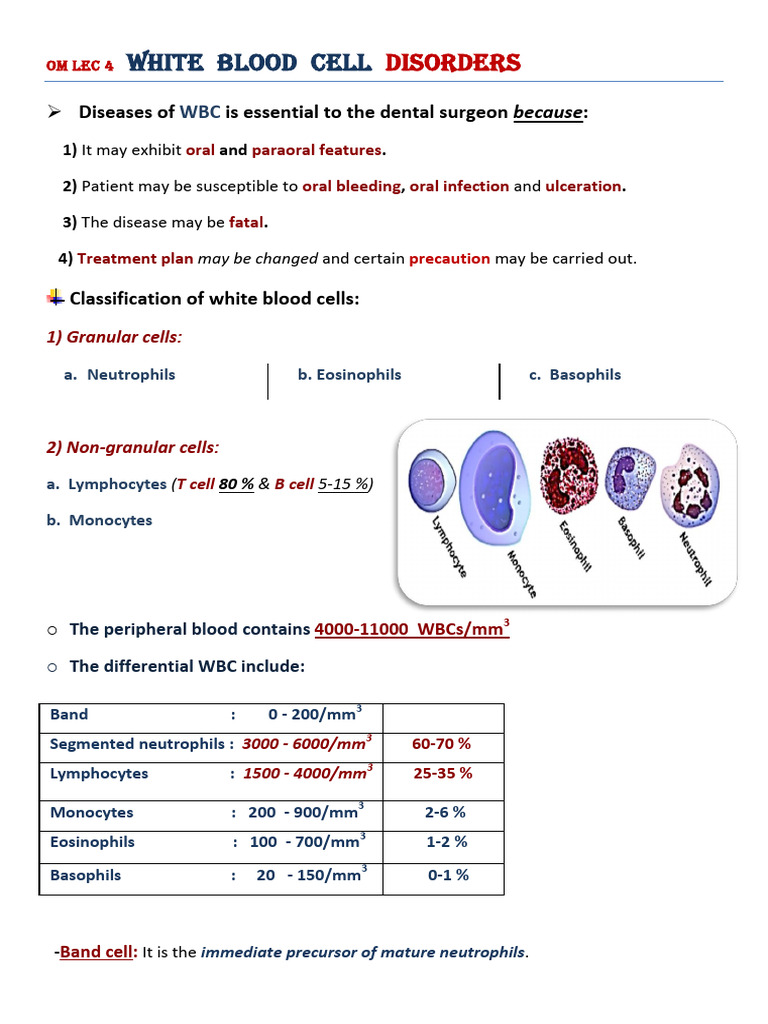 Om Lec 4 White Blood Cell Disorders | PDF | White Blood Cell | Phagocyte