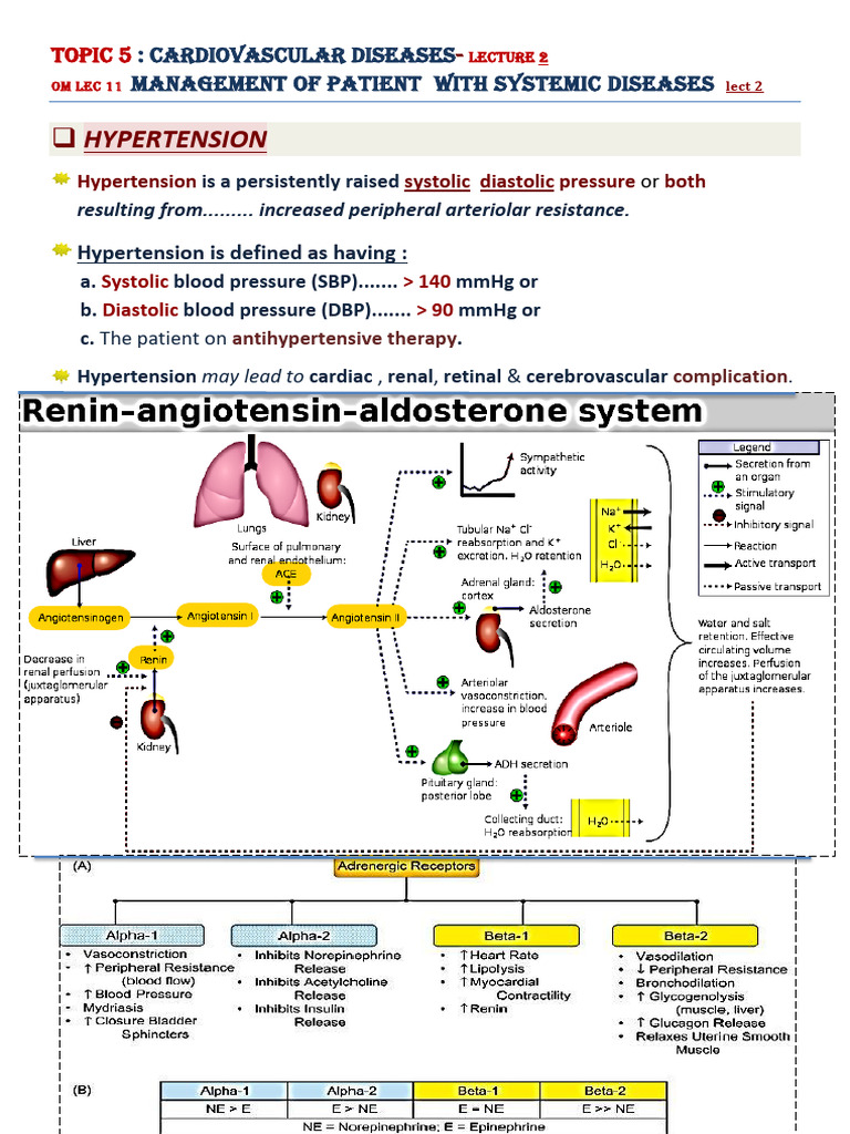 OM ..(Lec 11 ).Topic 5 Cardiovascular Diseases-Lecture 2.. | PDF | Hypertension | Blood Pressure