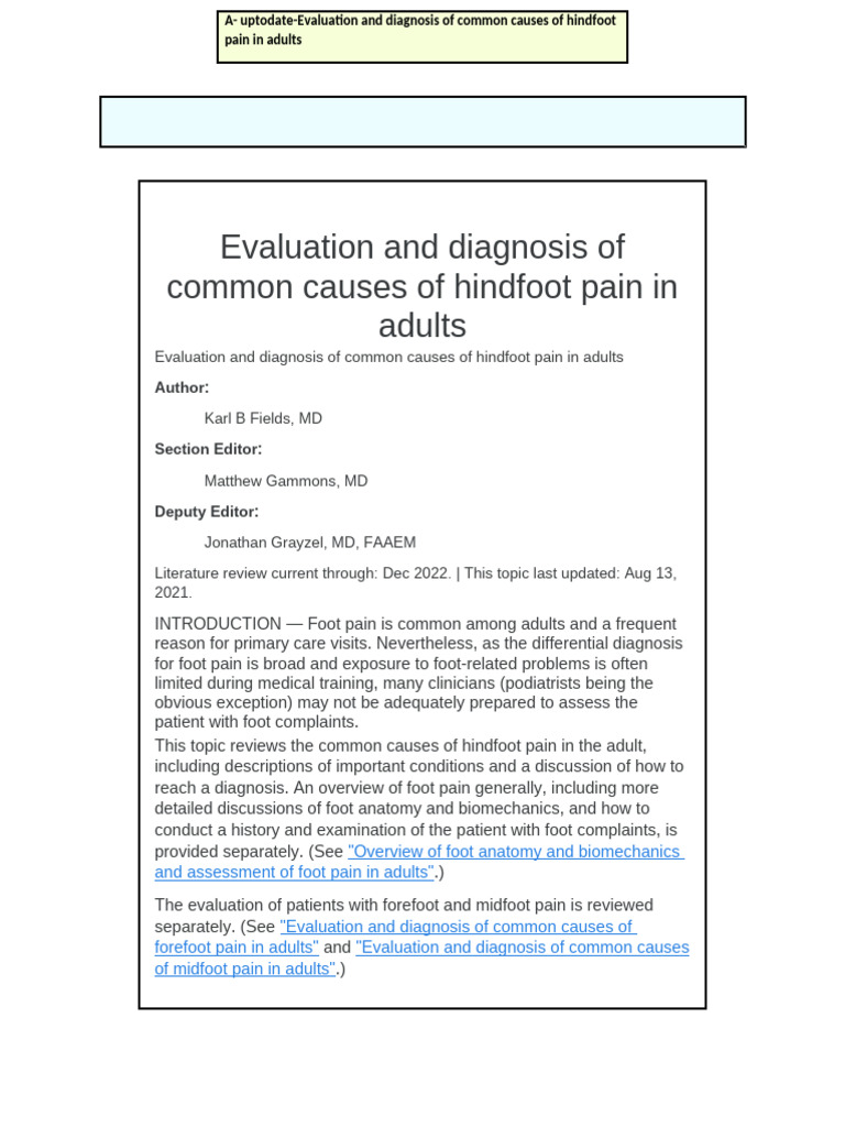 Common Causes of Hindfoot Pain | PDF | Ankle | Foot