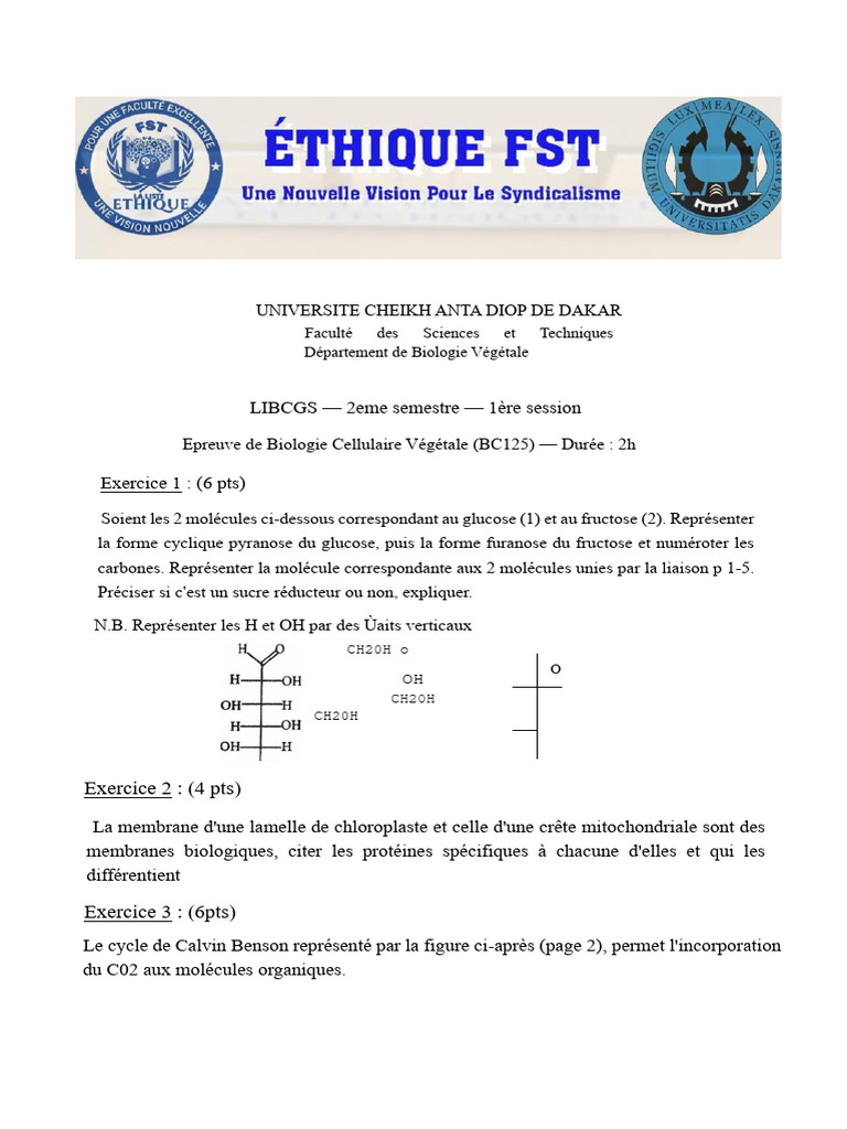Examen de Biologie Cellulaire Végétale | PDF | Respiration cellulaire ...
