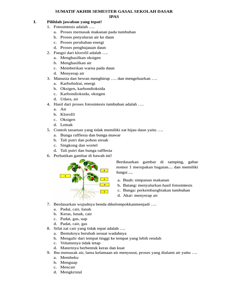SAS 1 IPAS KLS 4 | PDF