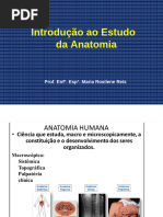 Aula 1 - Planos e Eixos | PDF | Anatomia | Corpo humano