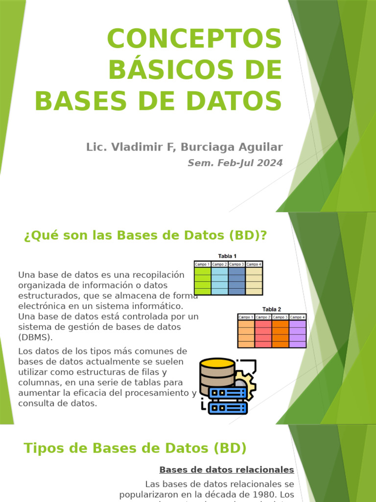 3 Conceptos Bases Datos | PDF | Bases de datos | Base de datos relacional