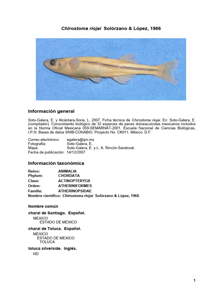 Chirostoma riojai: Charal de Toluca | PDF | Agua | Reservorio