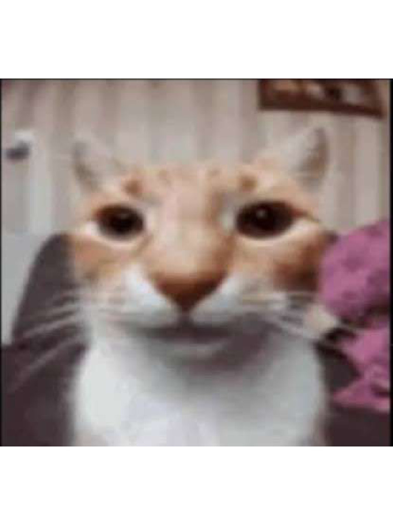 101e7280-39d4-477c-8b4f-1e31c18935f8 | PDF