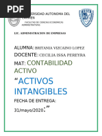 Guía de la NIF C-8: Activos Intangibles | PDF | Activo intangible | Contabilidad
