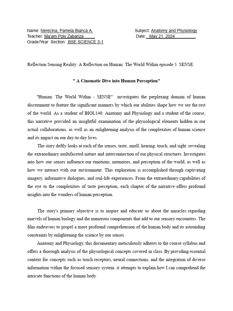 Reflection-SENSE | PDF | Perception | Senses