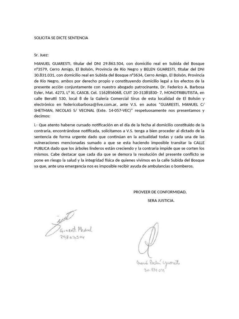 Solicita Se Dicte Sentencia | PDF