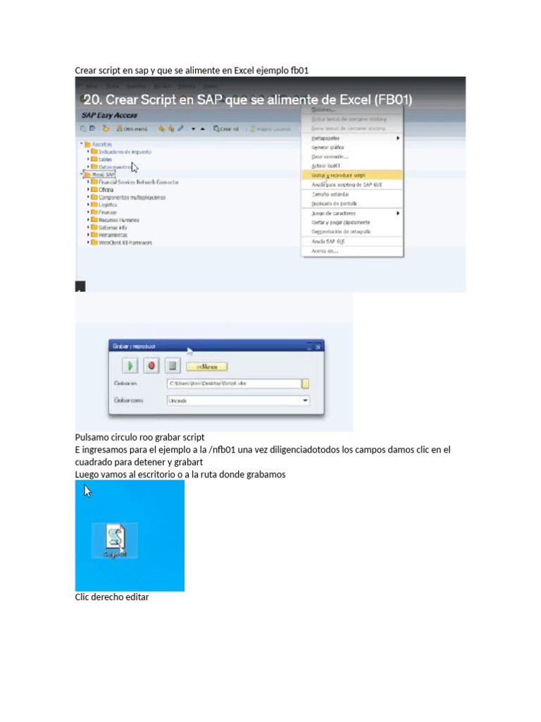 Automatización SAP con Excel | PDF