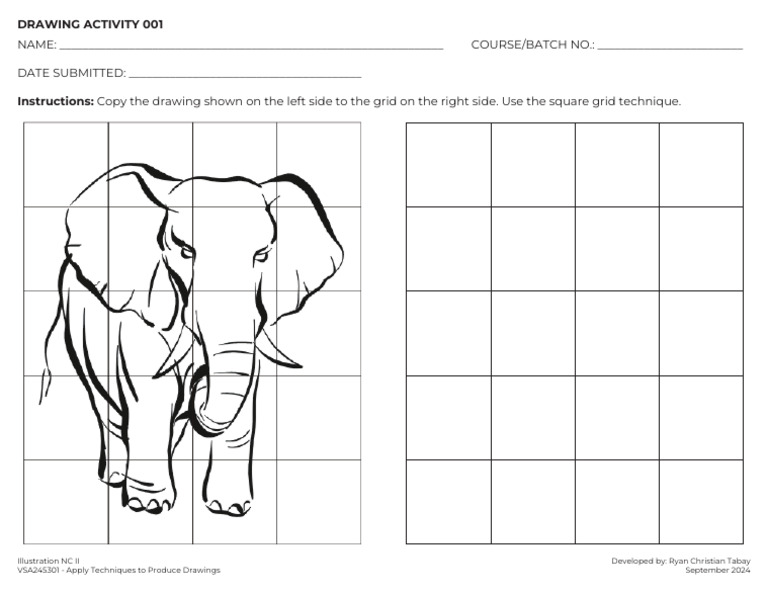 Drawing Activity Instructions Guide | PDF