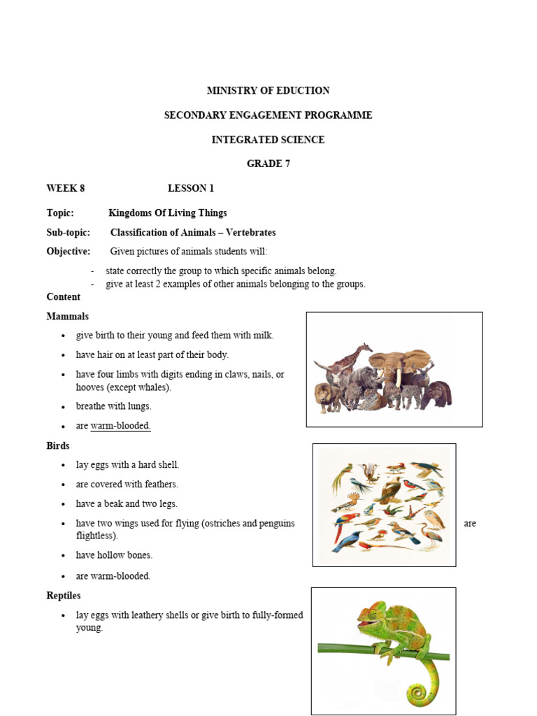 CLASSIFICATION OF ANIMALS - VERTEBRATES Week 8 Lesson 1 | PDF