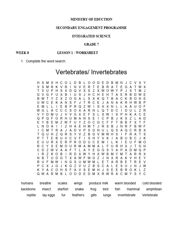 Vertebrates and Invertebrates Worksheet | PDF | Fish | Amphibian