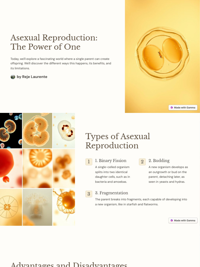 Asexual Reproduction Explained: Types & Impact | PDF