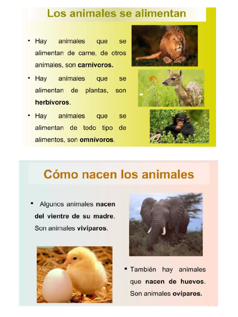 CLASIFICACION-DE-LOS-ANIMALES | PDF