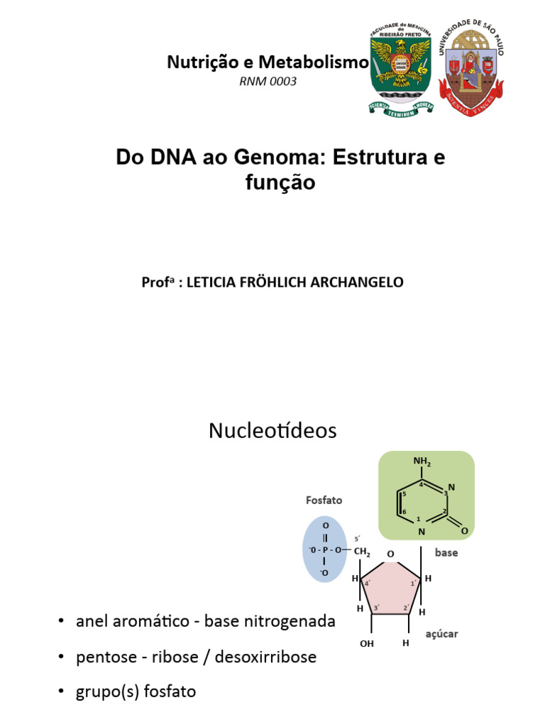 T13-Nucleotídeos e Acidos Nucleicos - 2018 | PDF | DNA | RNA