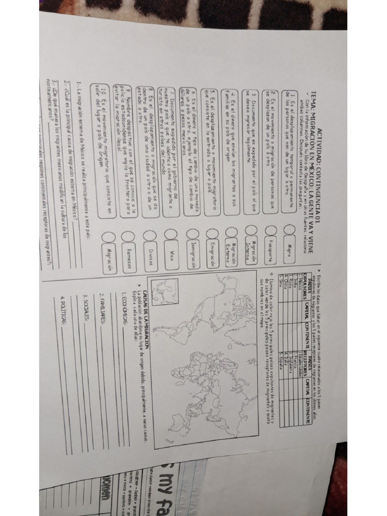 PDFReader_20241205_1829 | PDF