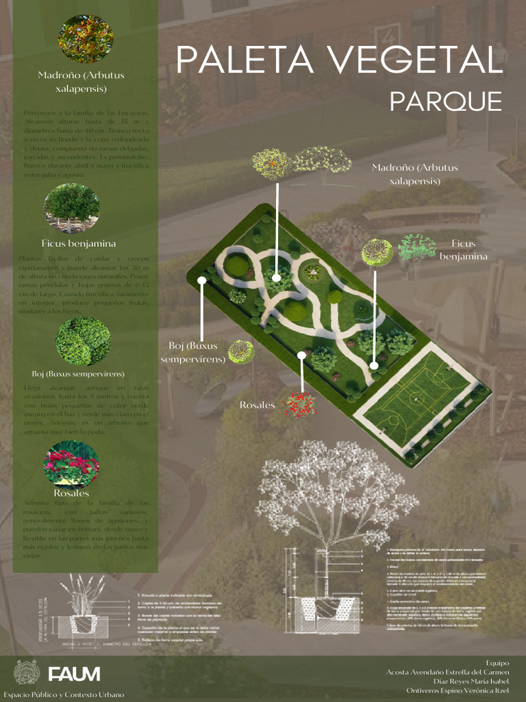 PALETA VEGETAL | PDF