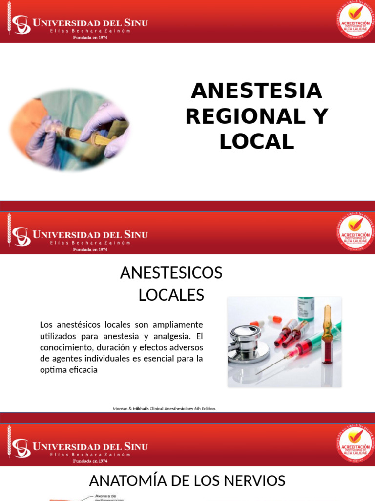 Anestesia Regional y Local | PDF | Extremidades (anatomía) | Anatomía ...