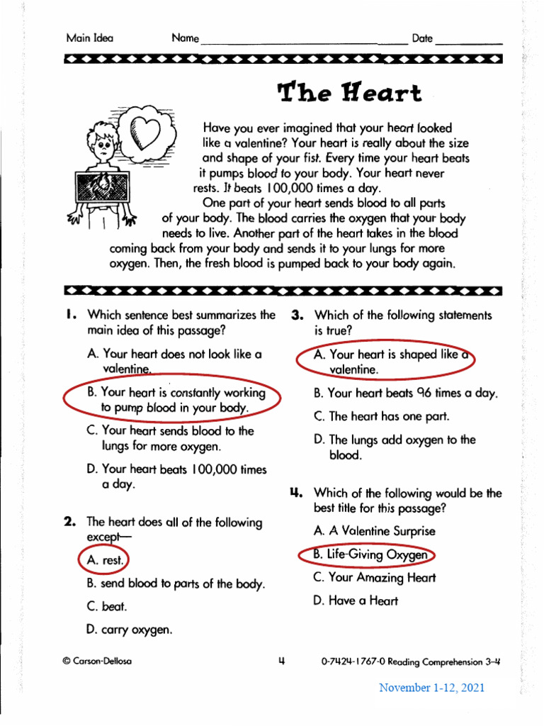 Your Amazing Heart Explained | PDF | Heart | Blood