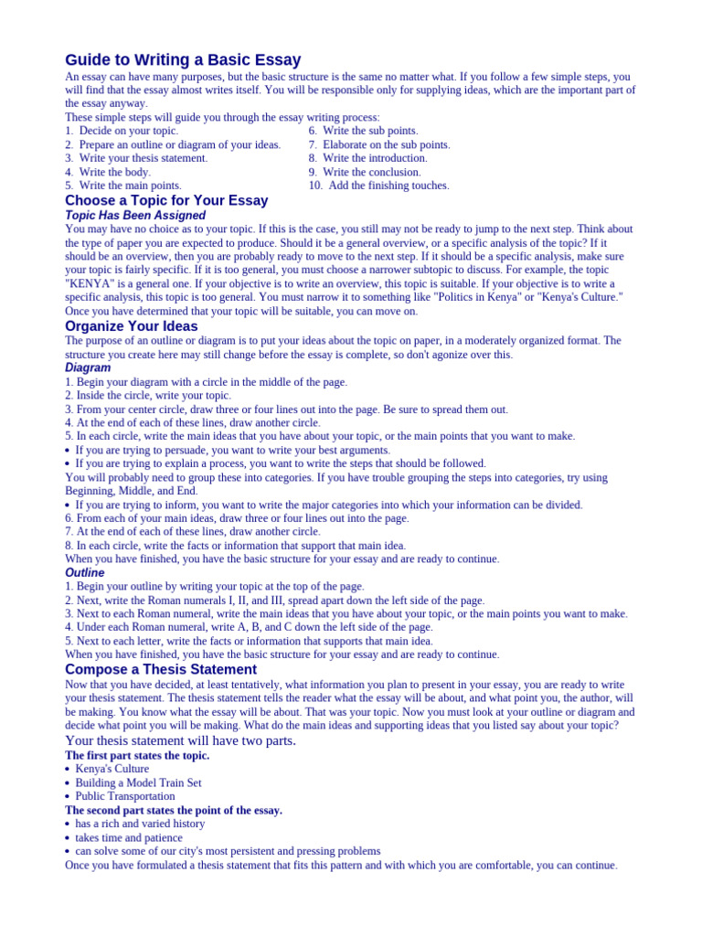 Guide To Writing A Basic Essay | PDF | Essays | Thesis