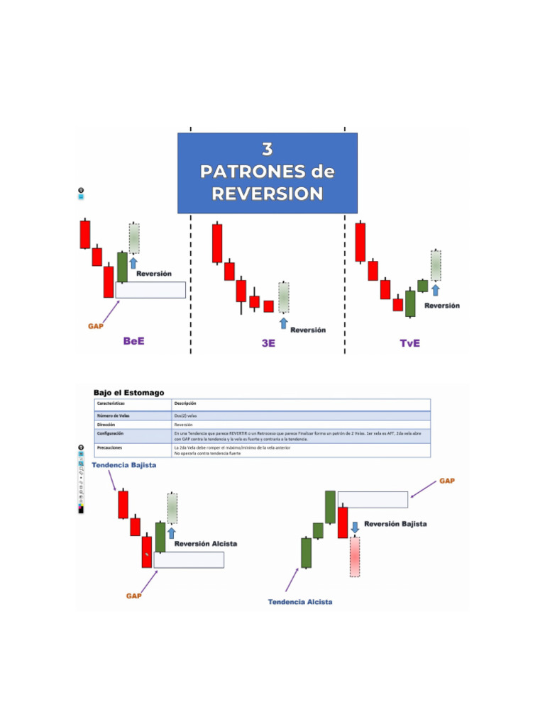 CLASES DE BINARY TECH | PDF